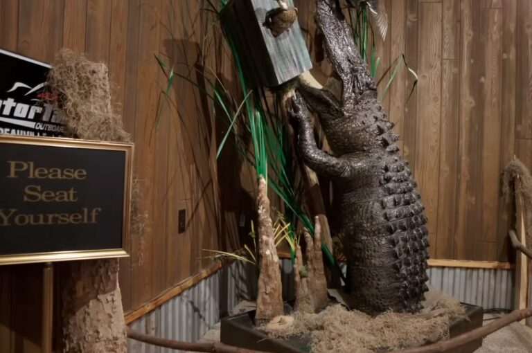 Swamp Town Bar Rescue Update (Swamp Tales) - Still Open?